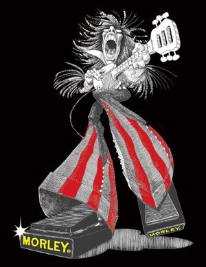 30 Pedals in 30 Days: Morley Mini Volume and Maverick Mini Switchless ...